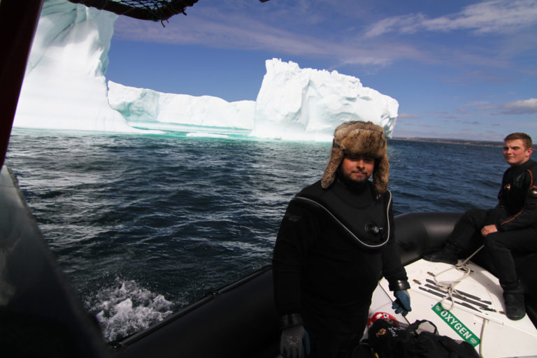 Diving with the Giant Icebergs - This Adventure Life