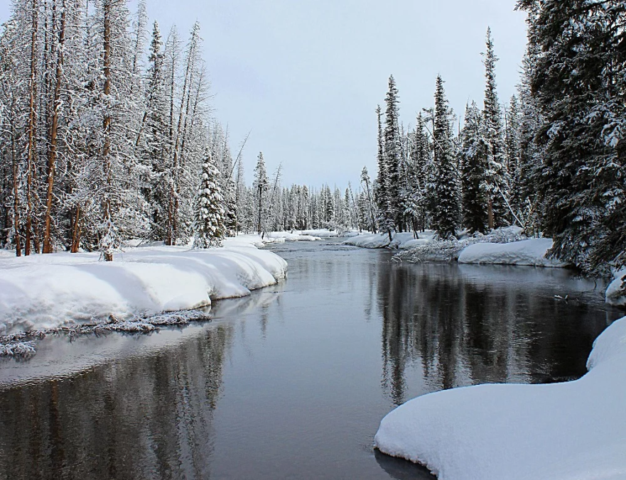 Snowshoeing 101: A Beginner's Guide to the Popular Winter Sport - This ...